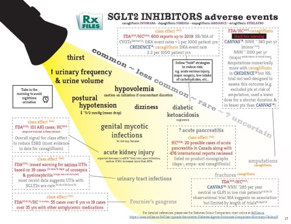 RxFiles Diabetes Book
